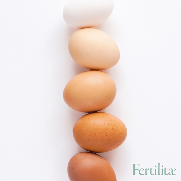 Why are Eggs a Fertility Superfood? – Fertilitae